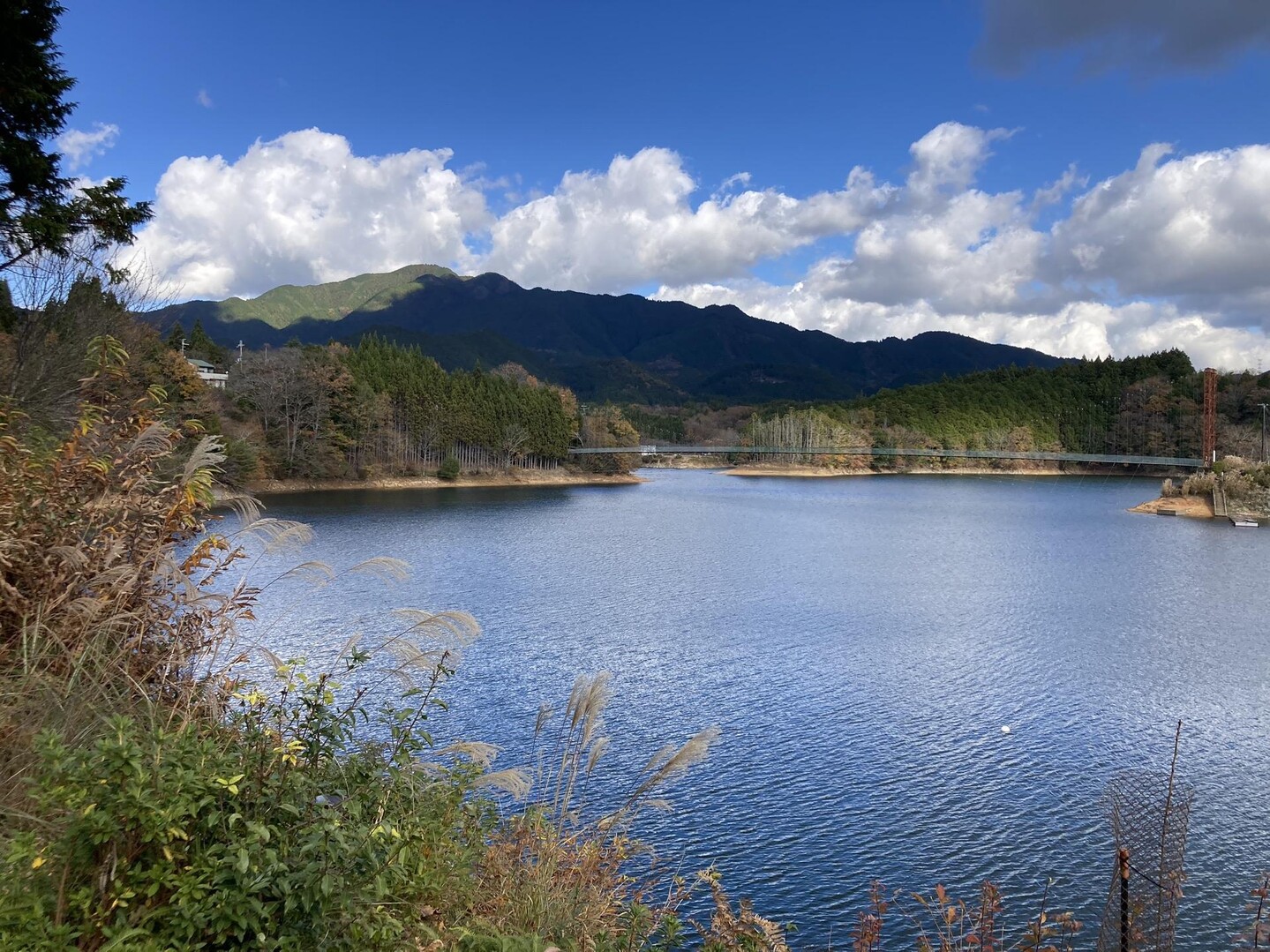 吉野へ 孤独のグルメと竜門岳 / keloさんの音羽山・竜門岳（龍門岳）・熊ヶ岳の活動データ | YAMAP / ヤマップ