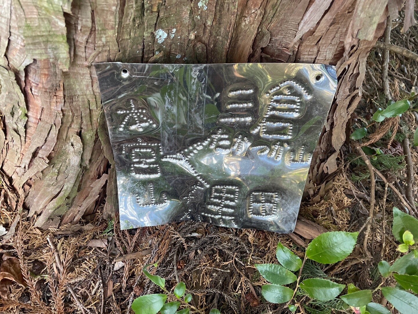 高塚山・黒山・本宮山 / TKC90さんの本宮山・高塚山の活動データ | YAMAP / ヤマップ