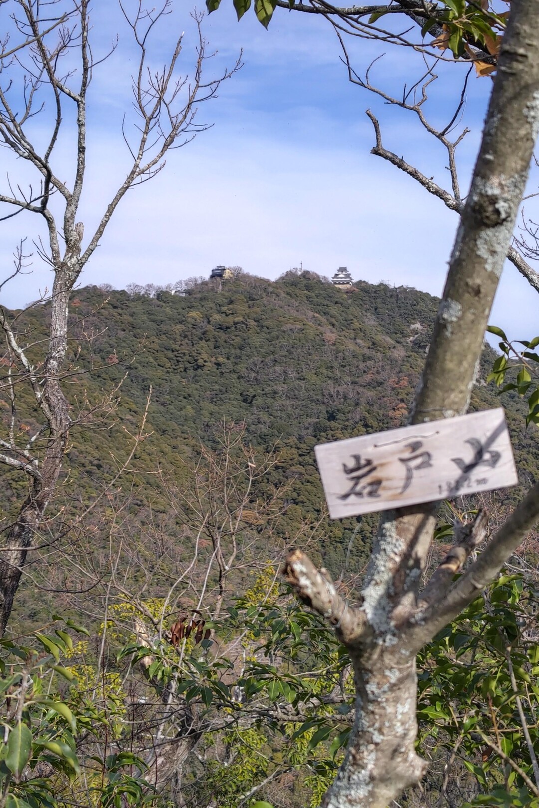 登り始めは岩戸山・金華山 / kouchanさんの金華山・洞山・舟伏山の活動データ | YAMAP / ヤマップ