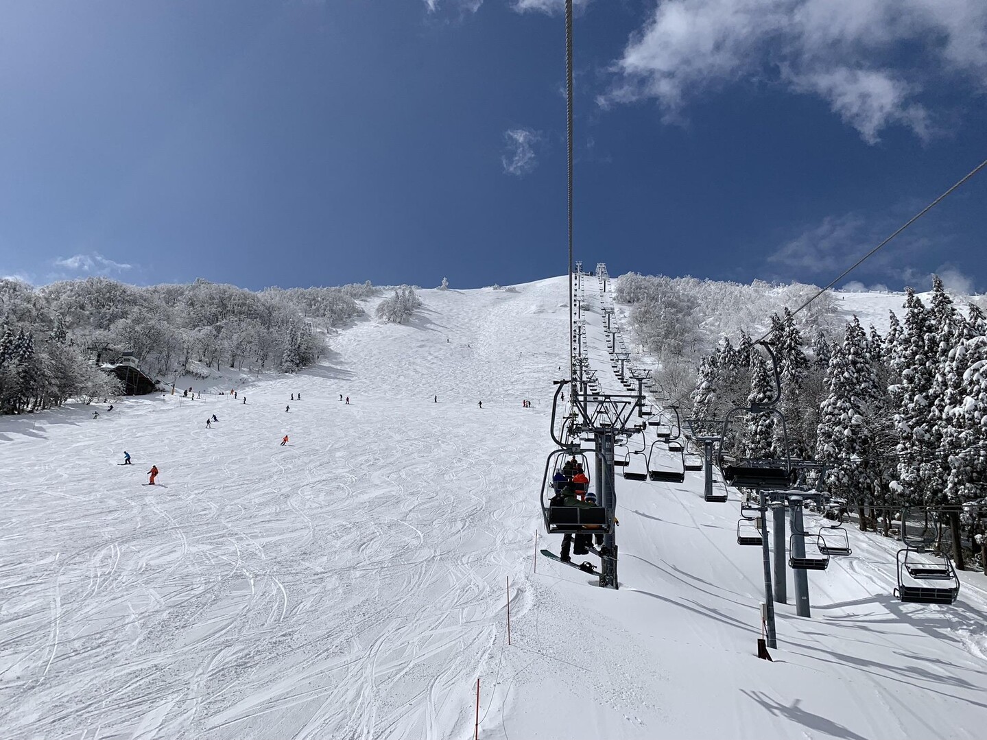 SKI de 鉢伏山 / pirosikiさんの氷ノ山（須賀ノ山）・鉢伏山・瀞川山の活動データ | YAMAP / ヤマップ