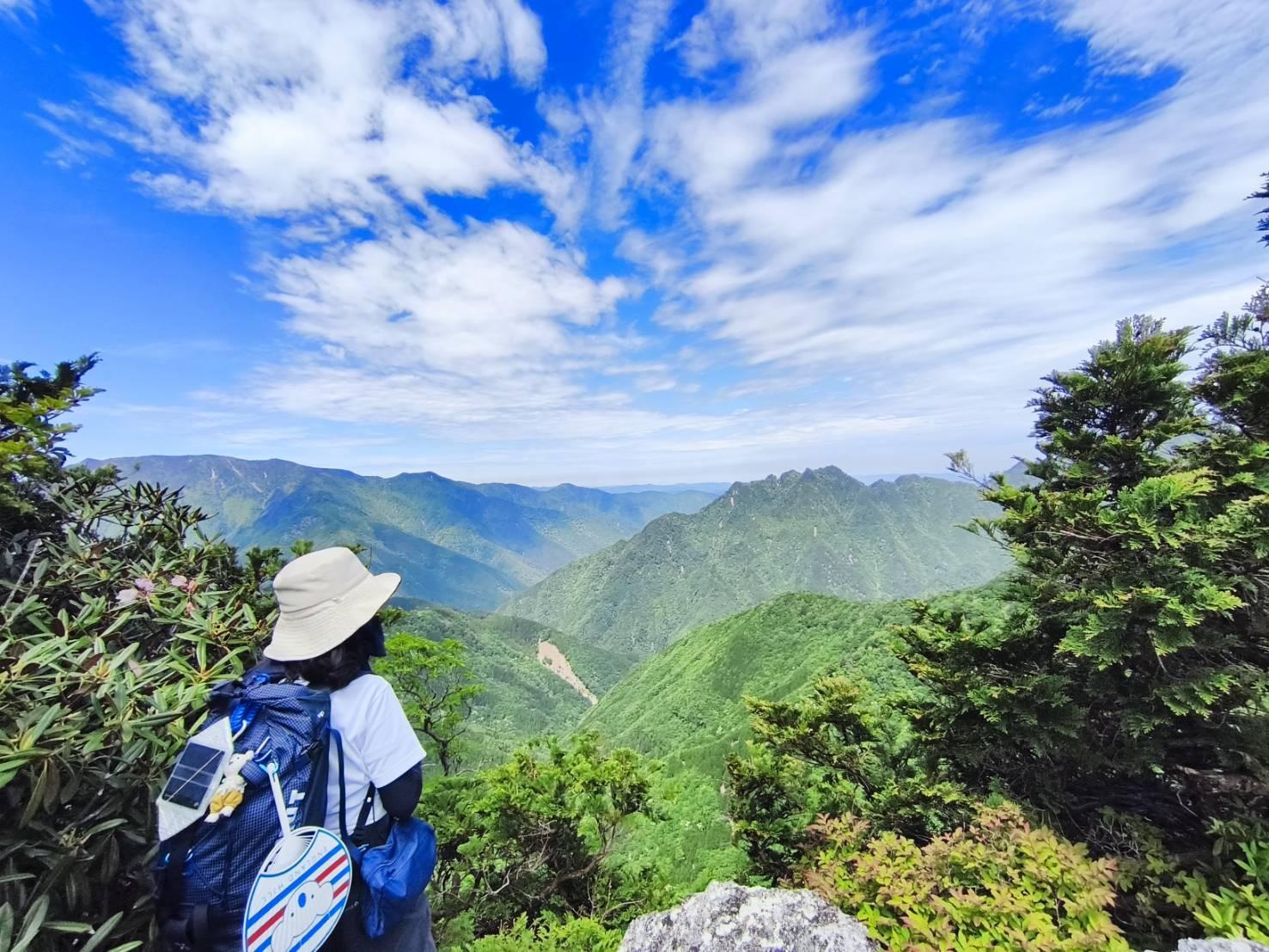 クサタチバナの行者還岳と七曜岳 / orangeさんの観音峯山・大普賢岳・山上ヶ岳・稲村ヶ岳の活動日記 | YAMAP / ヤマップ