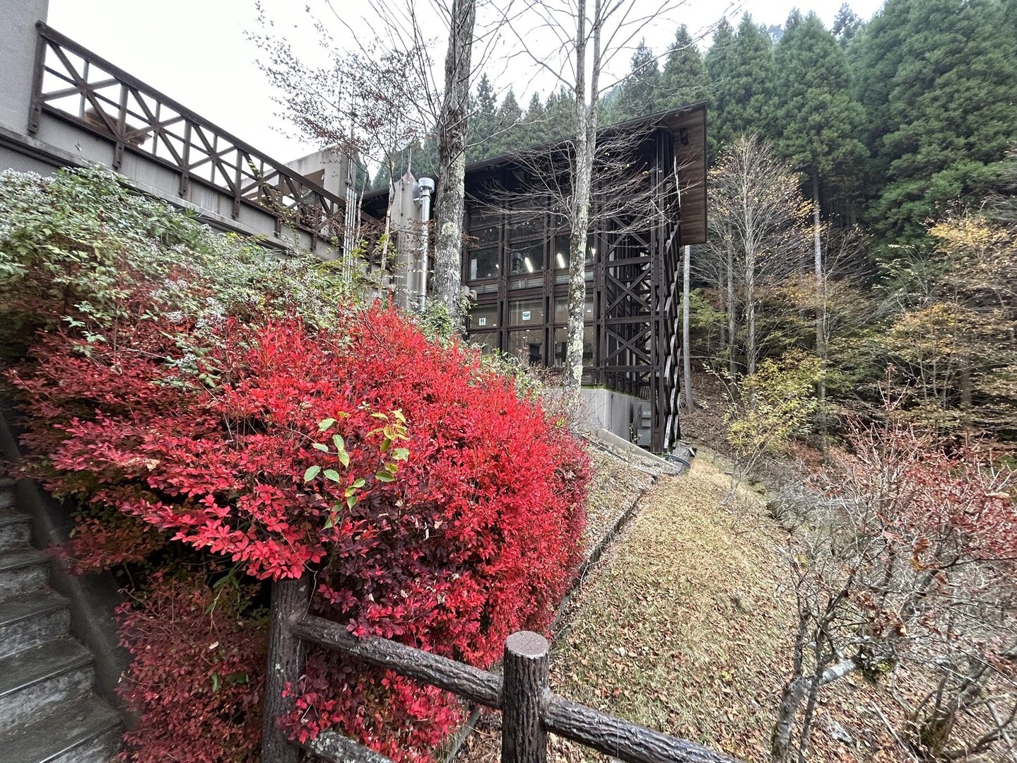 都民の森 三頭山周遊コース 🍁 / ノブヒロさんの大岳山・御岳山・御前山の活動データ | YAMAP / ヤマップ
