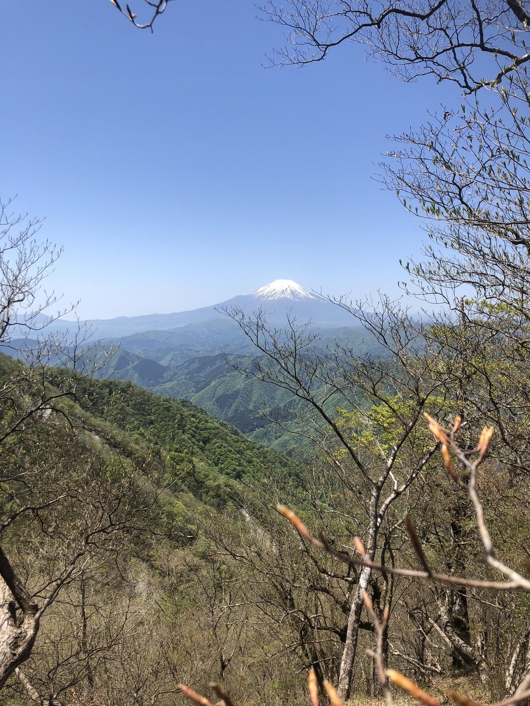 檜洞丸 / yhmgcさんの塔ノ岳・丹沢山・蛭ヶ岳の活動データ | YAMAP / ヤマップ