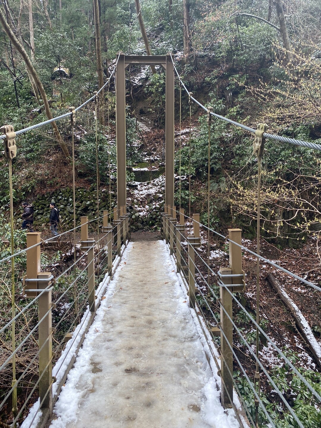 2020.3.15 高尾山 599m / じゅげむさんの高尾山・陣馬山・景信山の活動データ | YAMAP / ヤマップ
