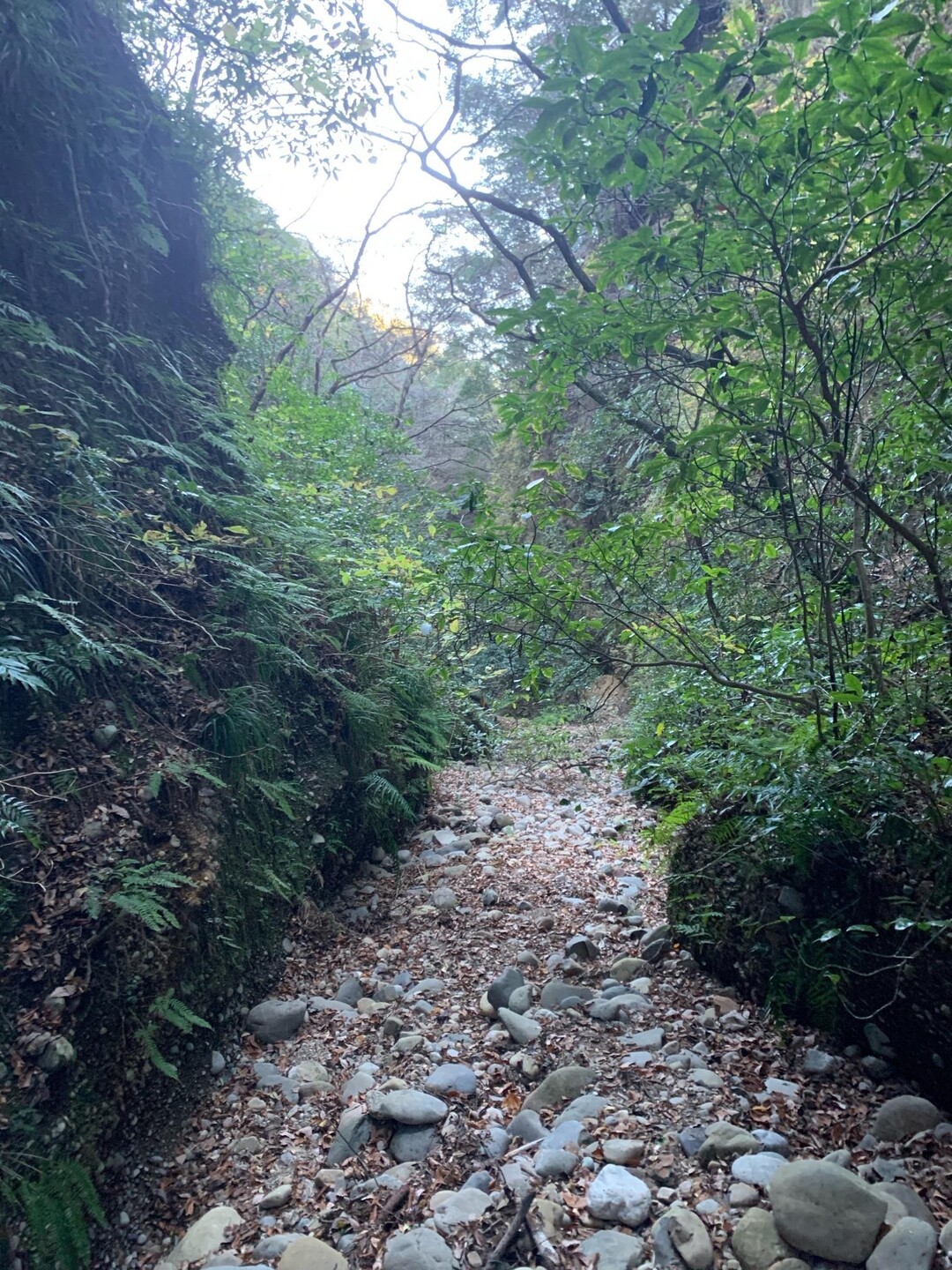 小笠山 六枚屏風 / jimきちさんの小笠山の活動データ | YAMAP / ヤマップ