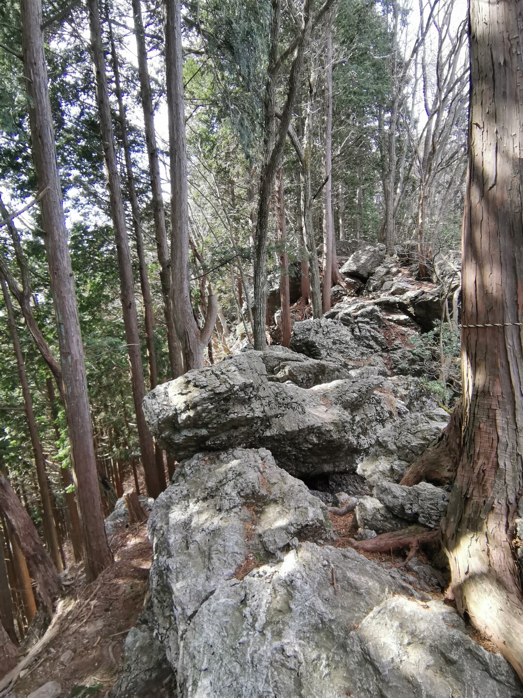 Bakiさんの投稿したフィールドメモ | YAMAP / ヤマップ