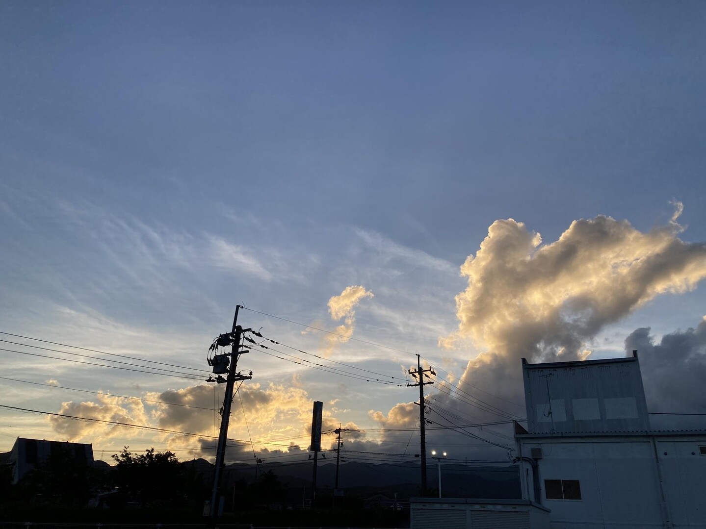 7月7日の前の日 今日のSORA 睡蓮... / hideさんのモーメント | YAMAP / ヤマップ