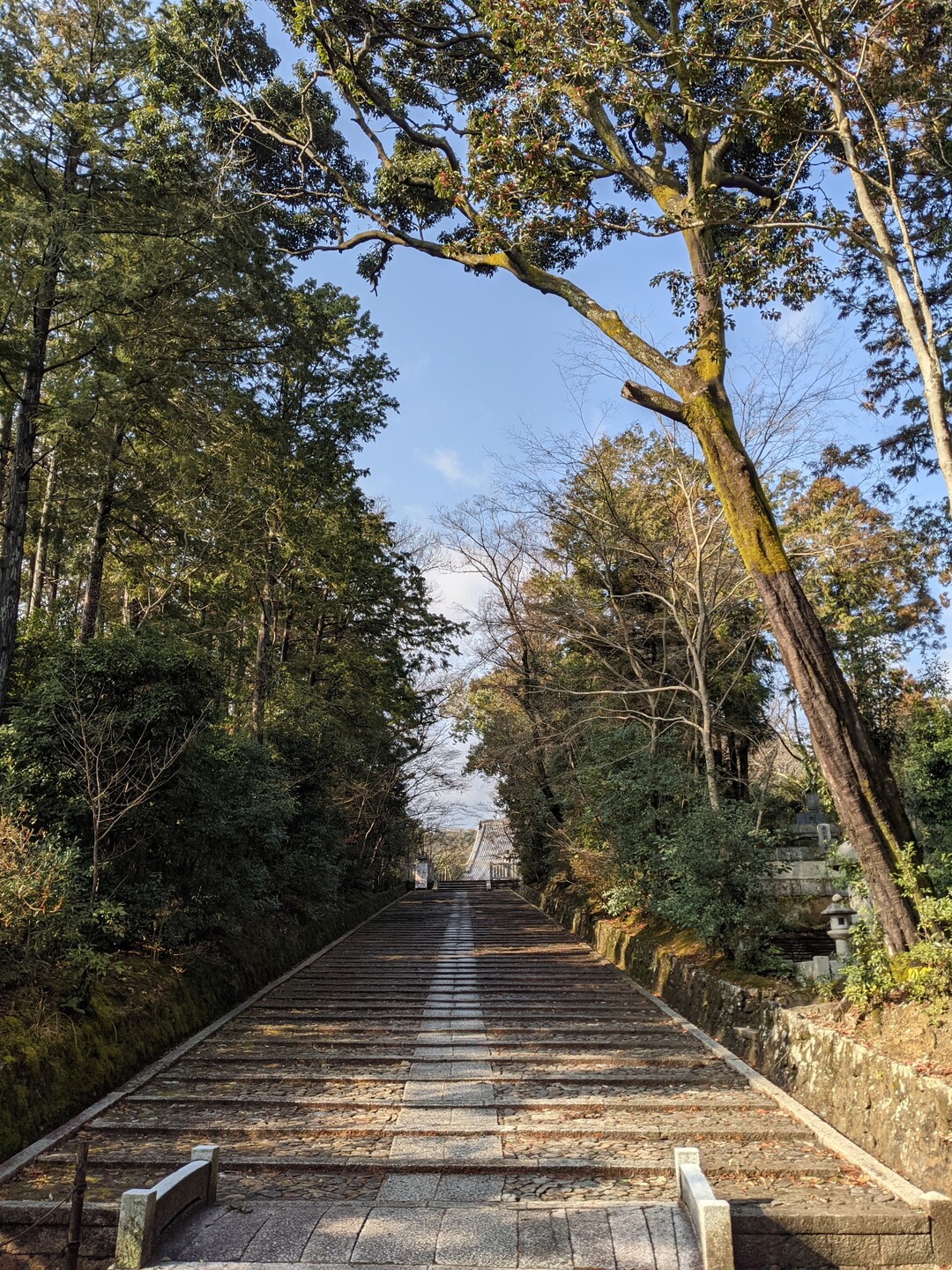 本日も近くに用があり光明寺へ。 / チェリーさんのモーメント | YAMAP / ヤマップ