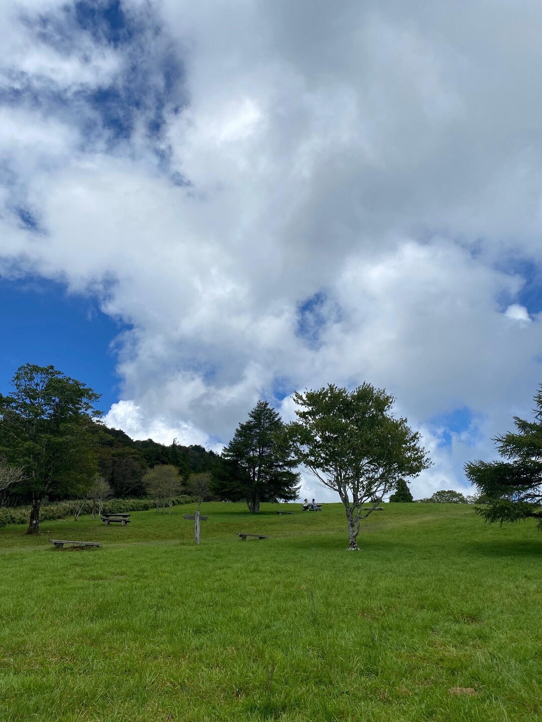 萩太郎山・茶臼山 / ni_coさんの茶臼山・萩太郎山の活動データ | YAMAP / ヤマップ