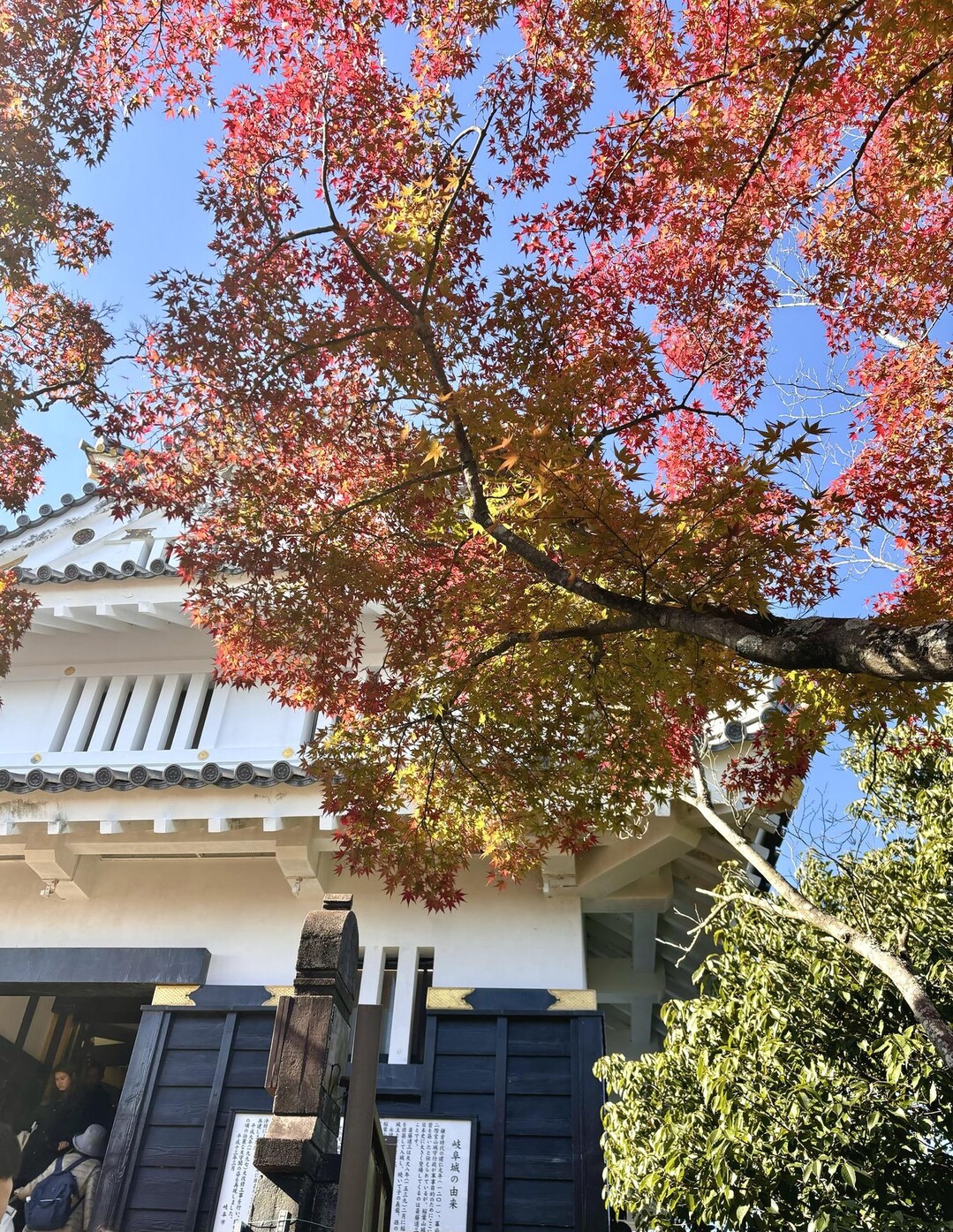 金華山へ行ったきました！ナイスタイミング... / くきぽんさんのモーメント | YAMAP / ヤマップ