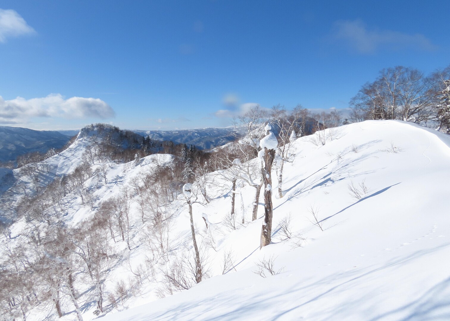 百松沢山～砥石山 尾根繋ぎ / chromeさんの百松沢山の活動日記 | YAMAP / ヤマップ