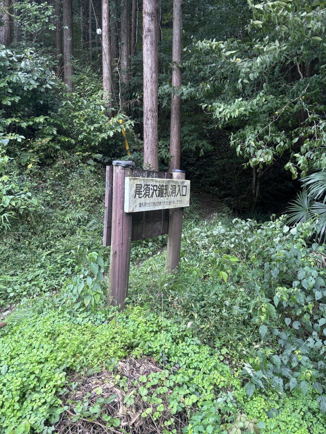 クライミング@河又 初めてきました。 ... / ma34sさんのモーメント | YAMAP / ヤマップ