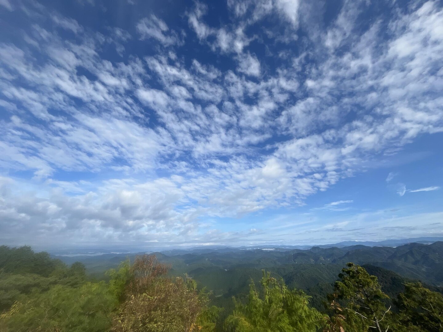 R6.10.27 納古山⛰️☀️↔︎遠見山⛰️ / おぼっちゃまくんさんの納古山の活動データ | YAMAP / ヤマップ