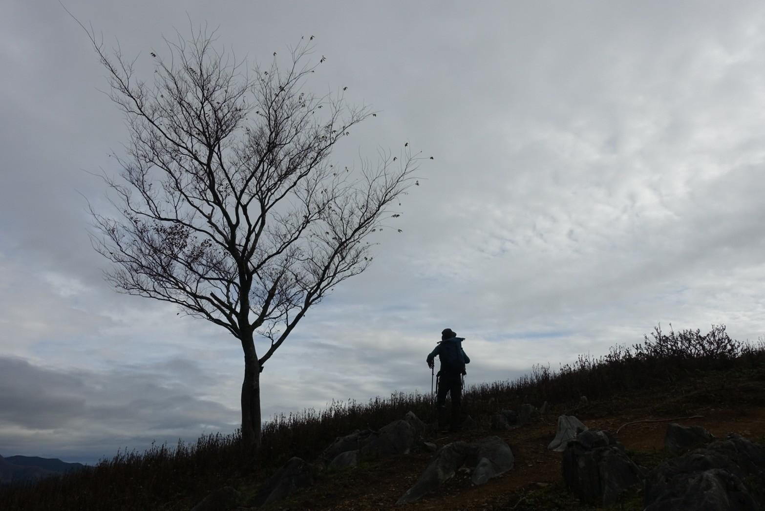 777🌈と高室山。 / bonjourさんの高室山の活動データ | YAMAP / ヤマップ