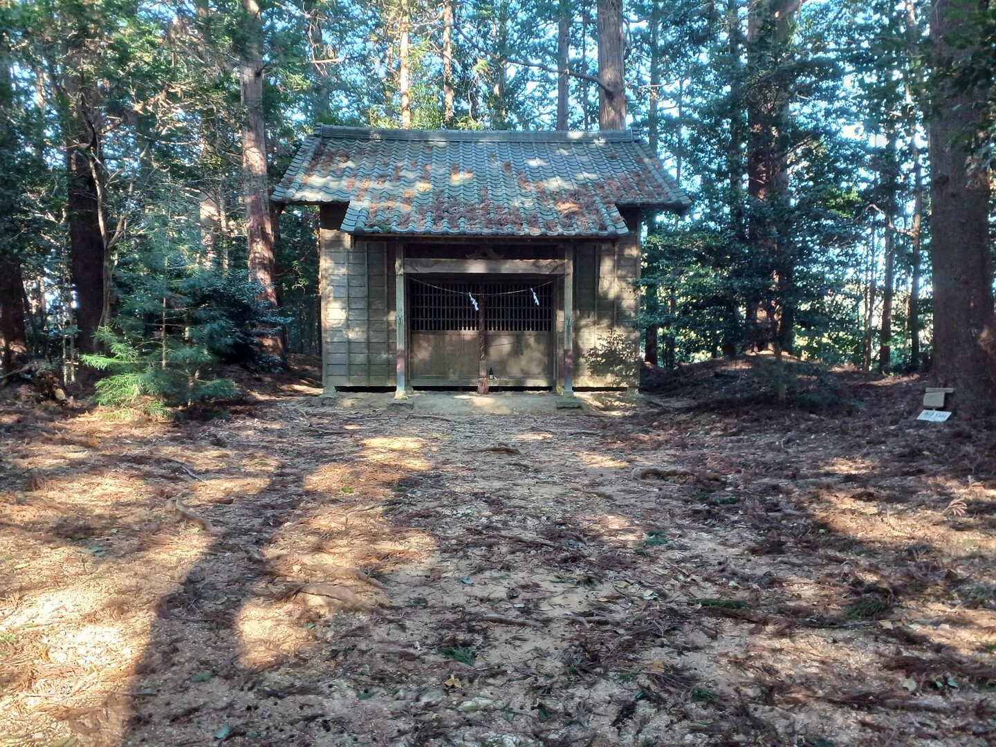 本宮山 参拝 / Te ruさんのウォーキングの活動データ | YAMAP / ヤマップ