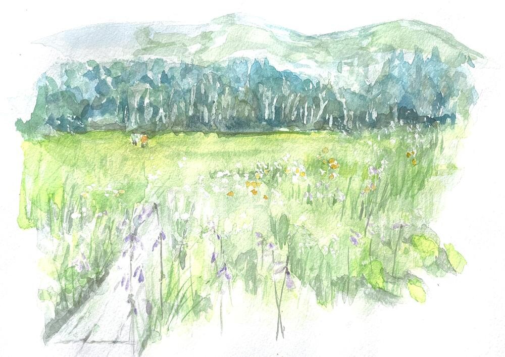 尾瀬2 最後の1枚に彩色。至仏山！ クロ... / watsonさんのモーメント | YAMAP / ヤマップ