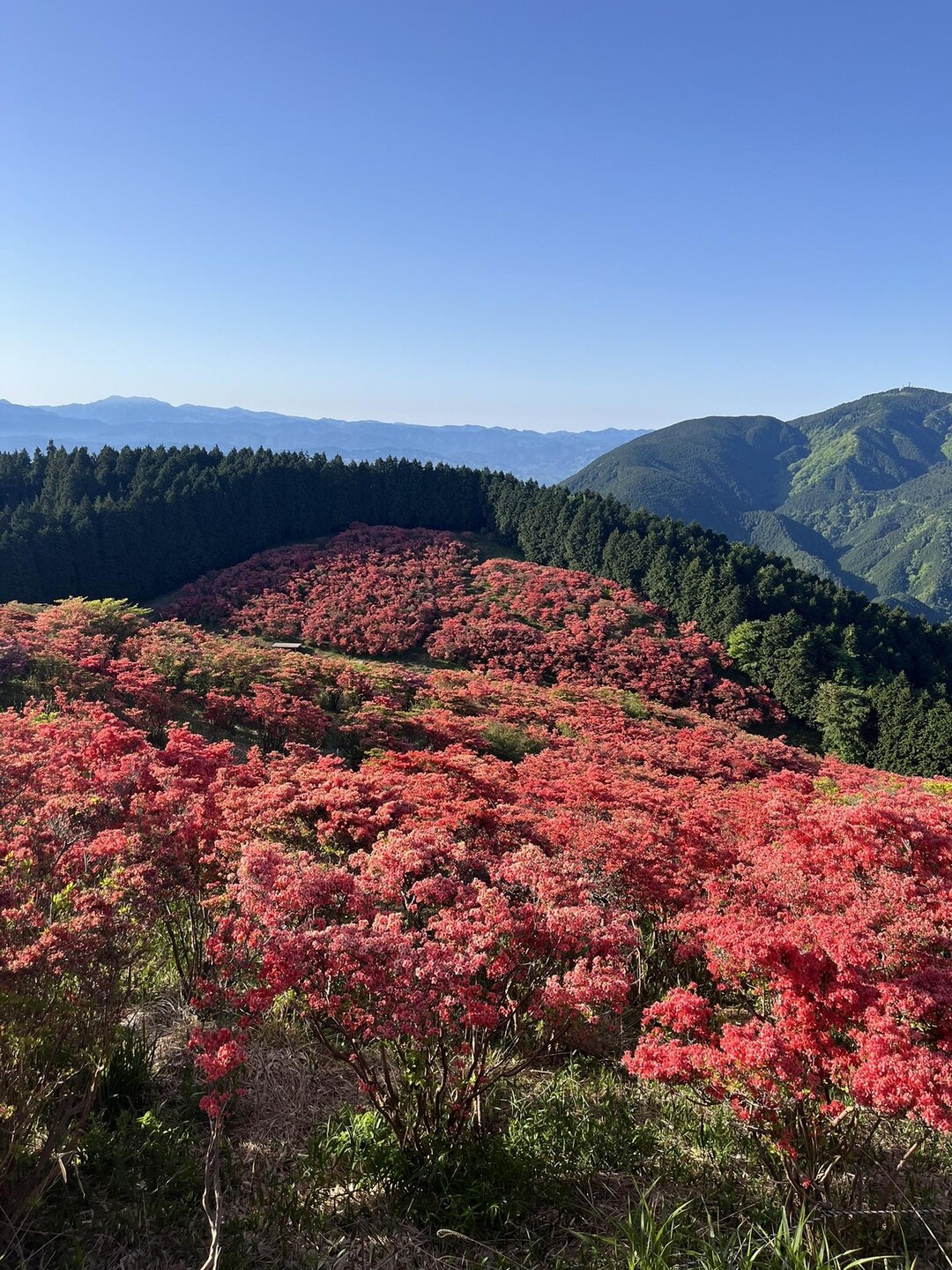 大和葛城山 / Josephさんの金剛山・二上山・大和葛城山の活動データ | YAMAP / ヤマップ