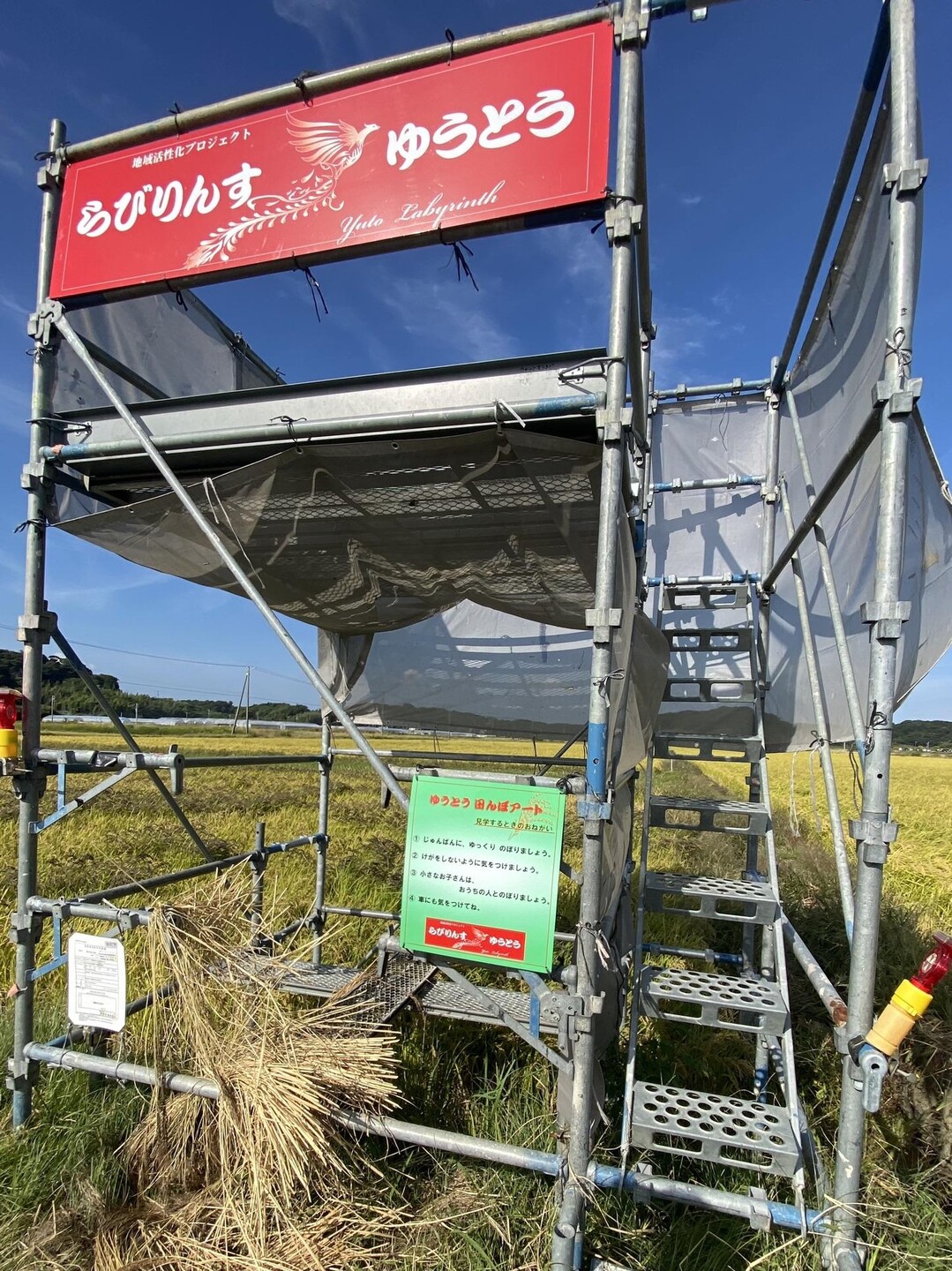 静岡県浜松市 ゆうとう田んぼアート 10... / すっうぇいさんのモーメント | YAMAP / ヤマップ