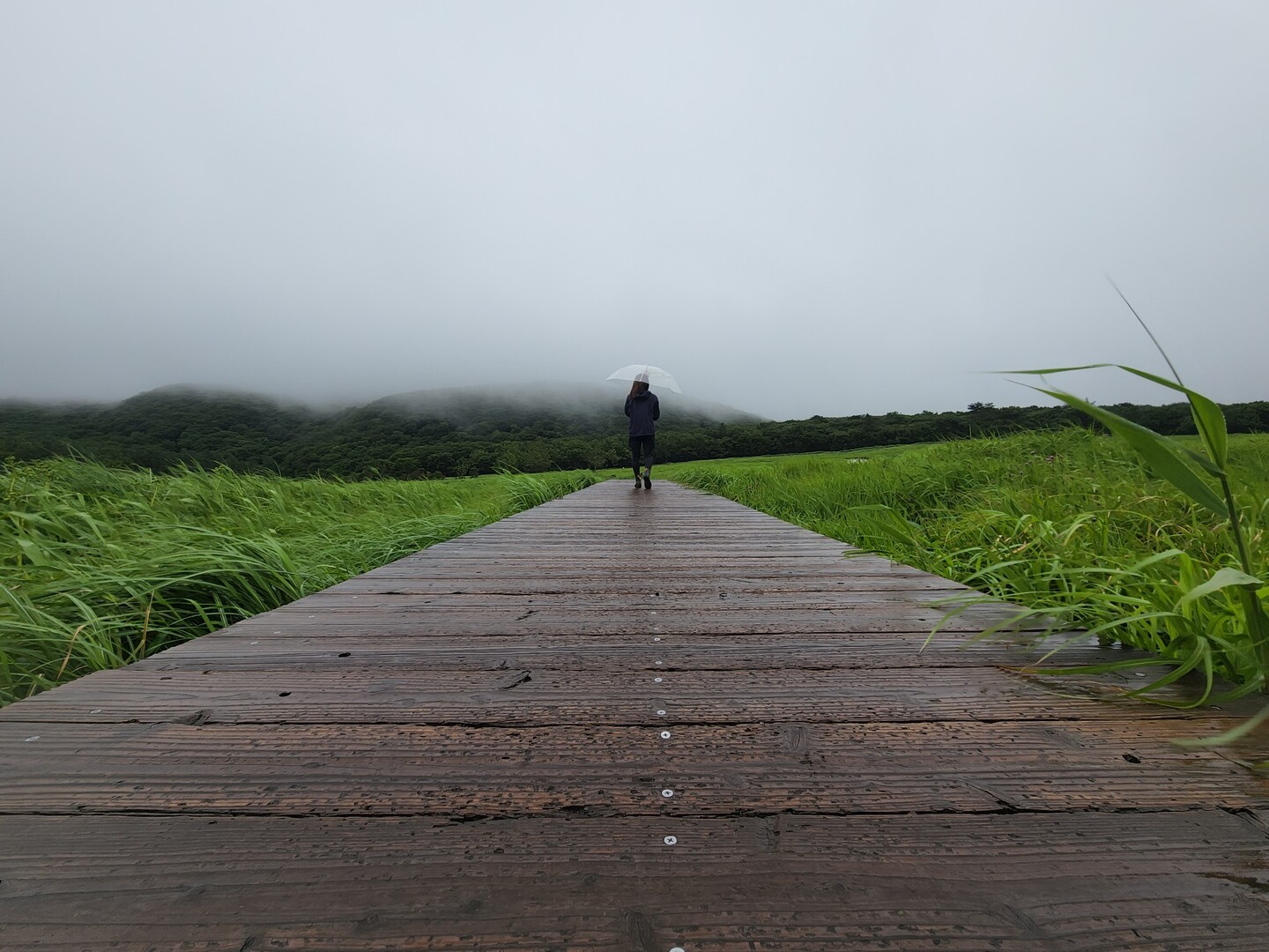 おはようございます😊 ビニール傘さして... / まゆさんさんのモーメント | YAMAP / ヤマップ