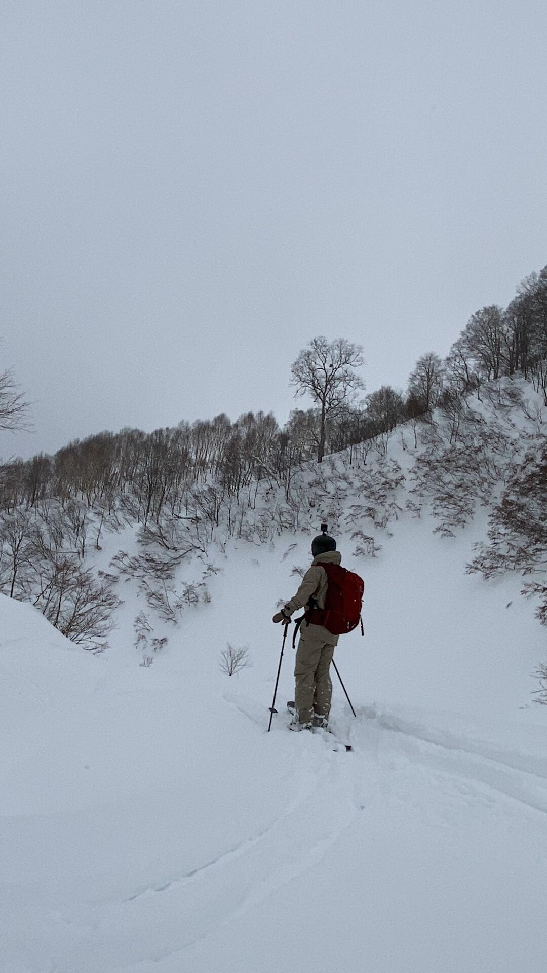 Seiji.jp.yokohamaさんの投稿したフィールドメモ | YAMAP / ヤマップ
