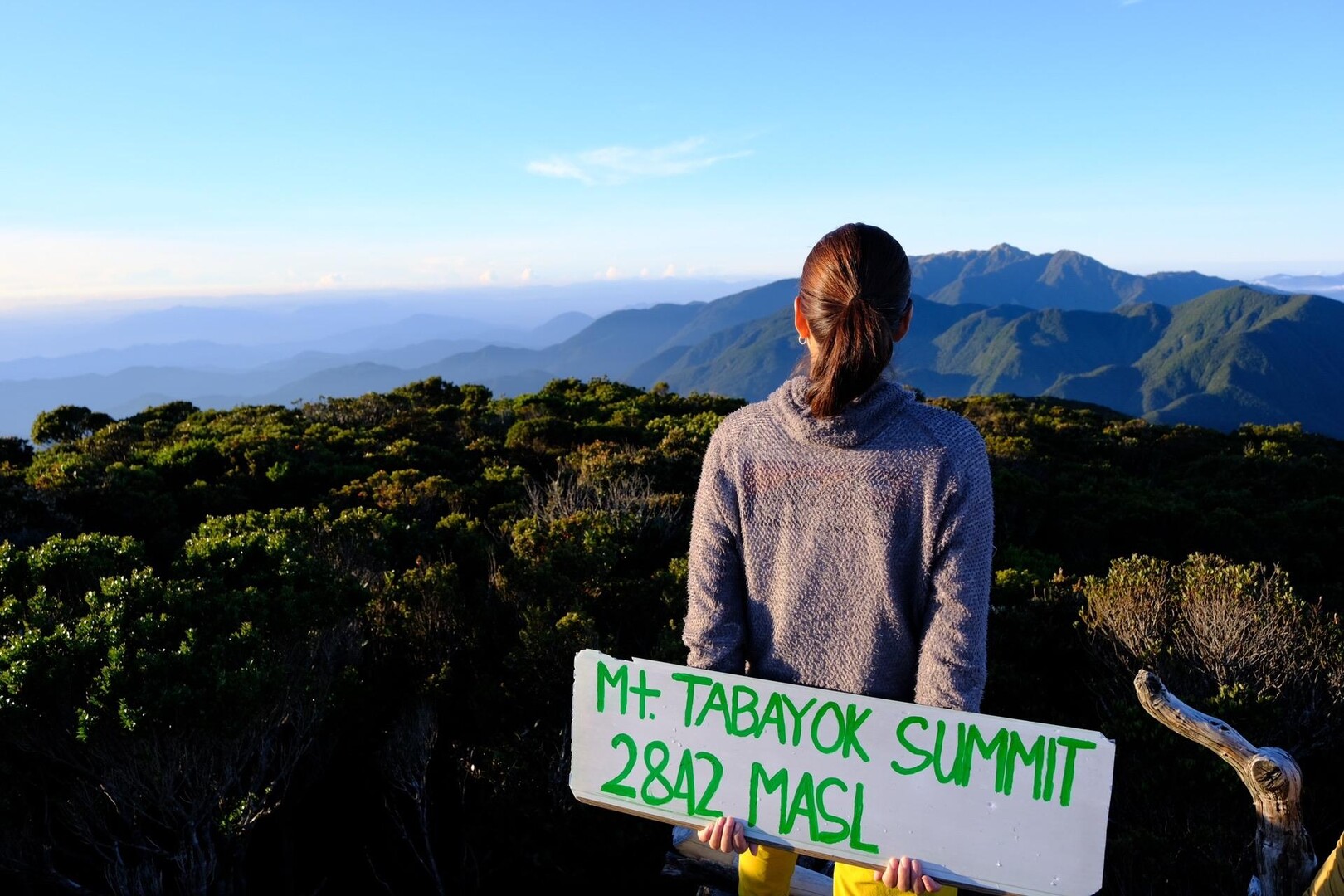 Mt.Tabayok / kazさんのウォーキングの活動データ | YAMAP / ヤマップ