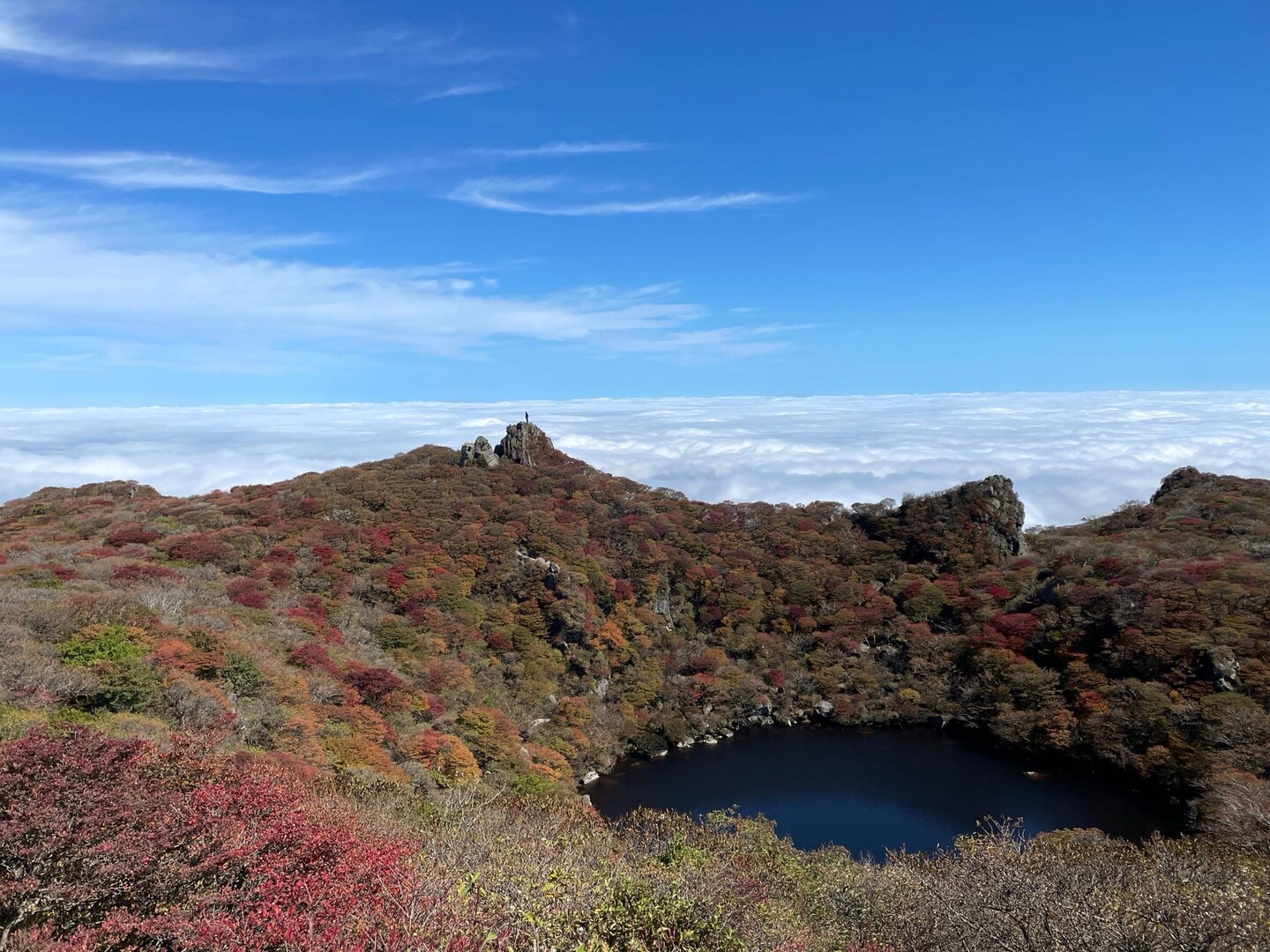大船山 / michuさんの九重山（久住山）・大船山・星生山の活動データ | YAMAP / ヤマップ