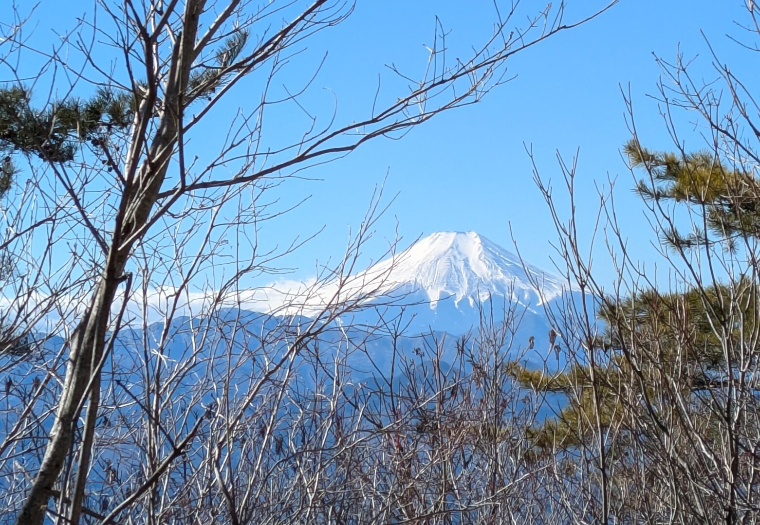 生藤山から陣馬山 / ashさんの生藤山の活動データ | YAMAP / ヤマップ