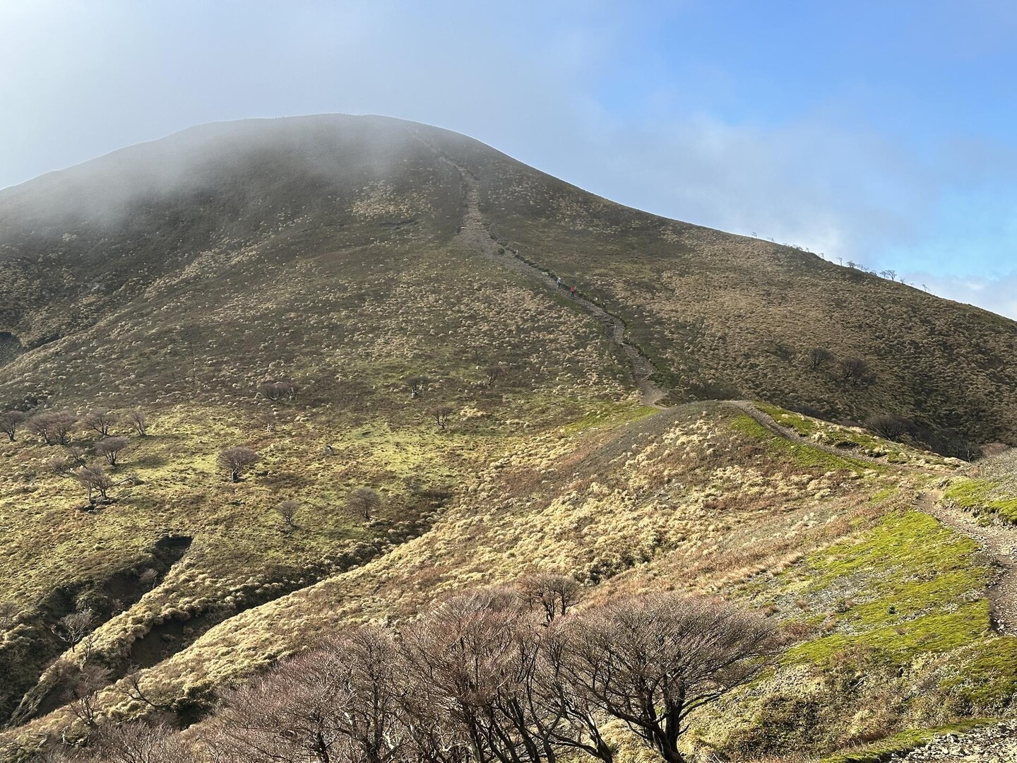 辰年に年女が竜ヶ岳へ🐲笑 / RAY(Ray Channel)さんの竜ヶ岳の活動データ | YAMAP / ヤマップ