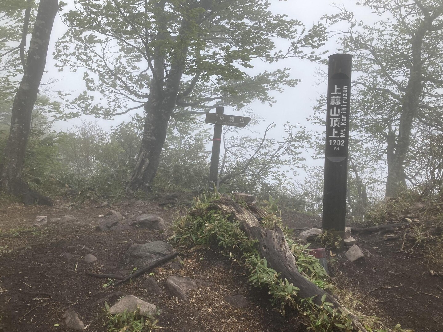 槍ヶ峰・上蒜山 / jingerさんの蒜山の活動データ | YAMAP / ヤマップ