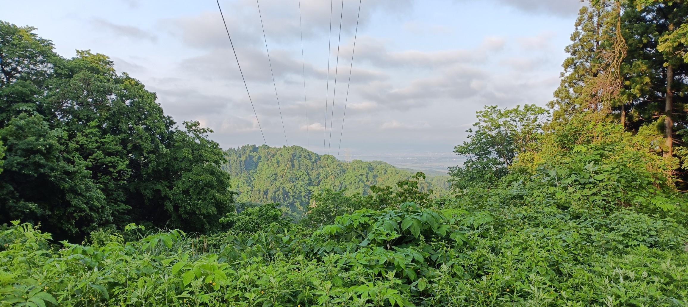 金山（車登山③失敗） / orangeさんの柏崎市の活動データ | YAMAP / ヤマップ