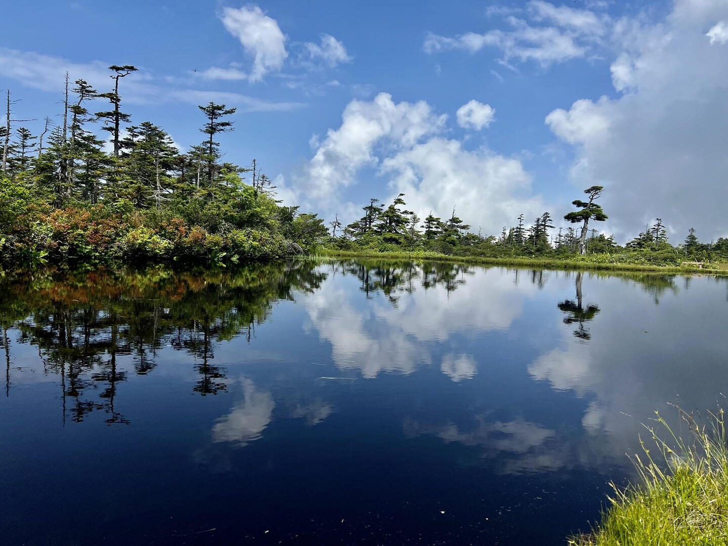 志賀高原2日目は焼額山へ🎶 / medamonさんの焼額山の活動データ | YAMAP / ヤマップ