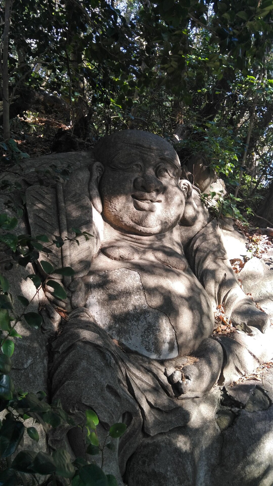 坂田山・紅葉山・湘南平・浅間山(平塚市・大磯町)・東天照・高麗山・八俵山・王城山 / グロウさんの高麗山・湘南平・鷹取山の活動データ ...