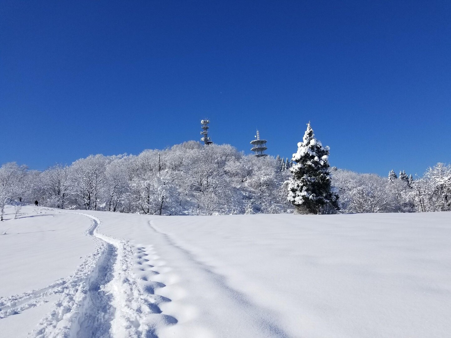 小正月の山本山 / ta-さんの時水城山・丸山の活動データ | YAMAP / ヤマップ