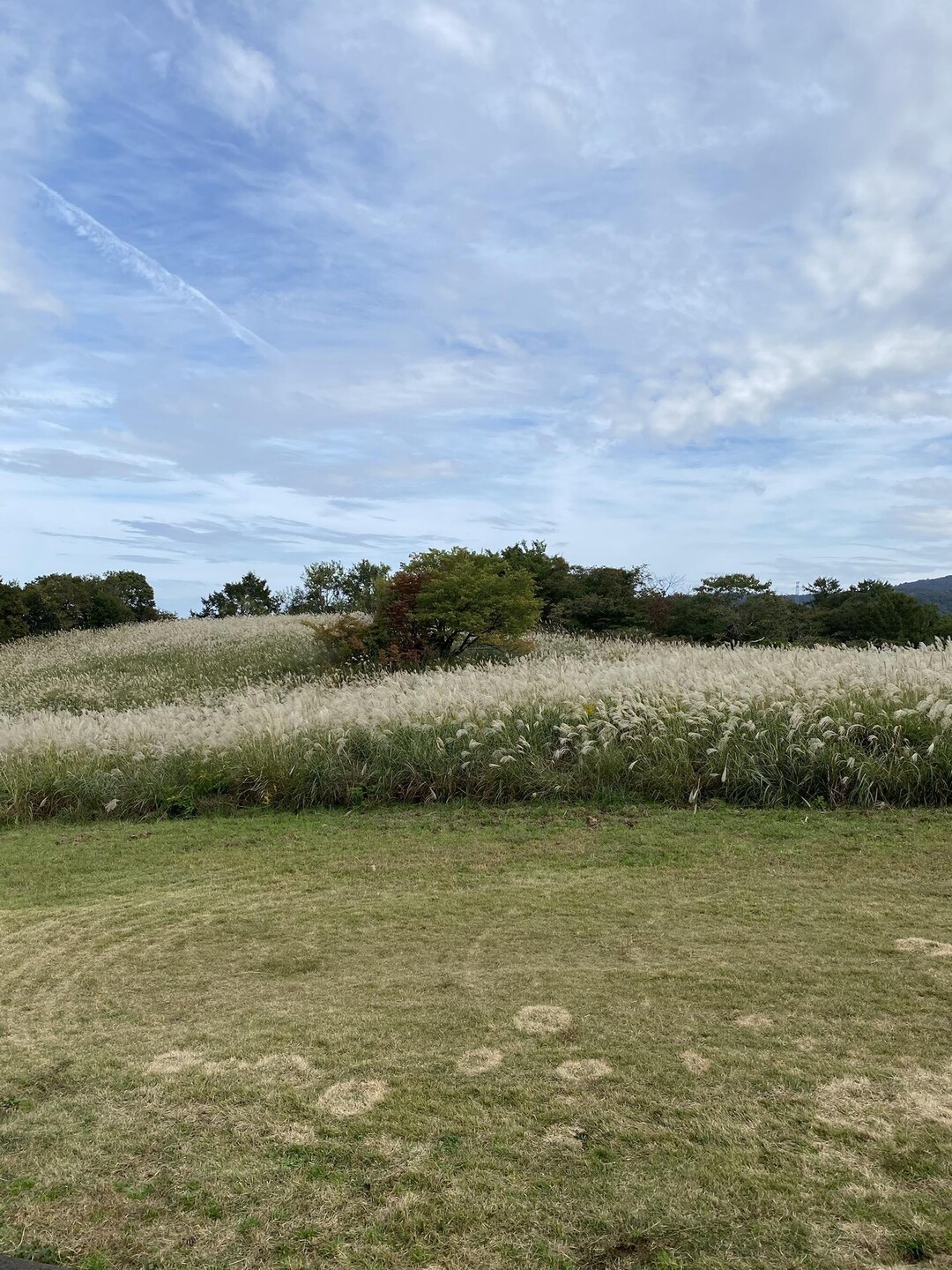 キゴ山 / Shigexさんの医王山・白兀山・箱屋谷山の活動データ | YAMAP / ヤマップ