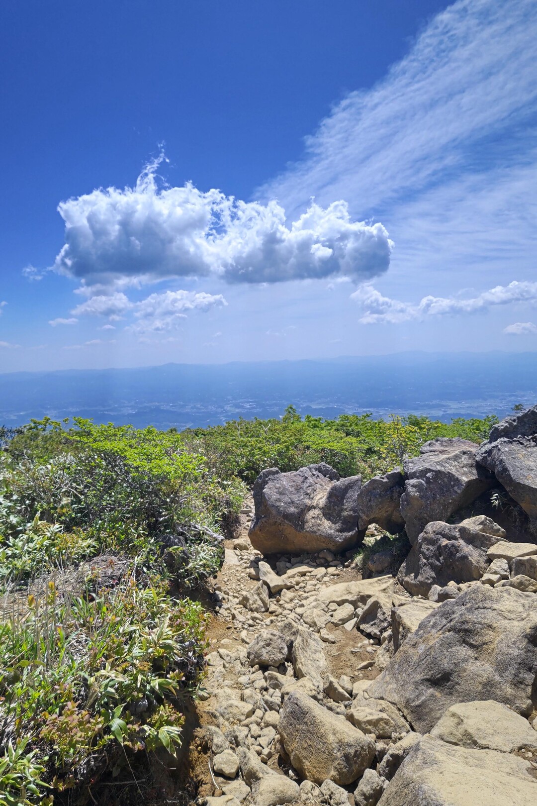 Hectorさんの投稿したフィールドメモ | YAMAP / ヤマップ