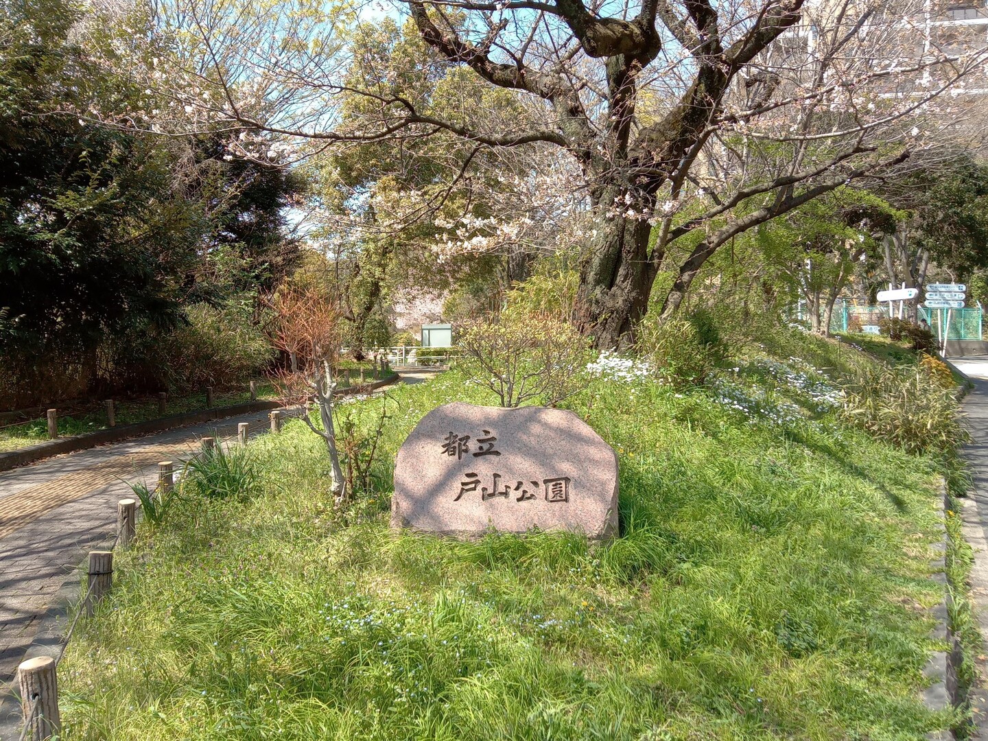 箱根山 / arakawa🌊さんの観音山の活動データ | YAMAP / ヤマップ