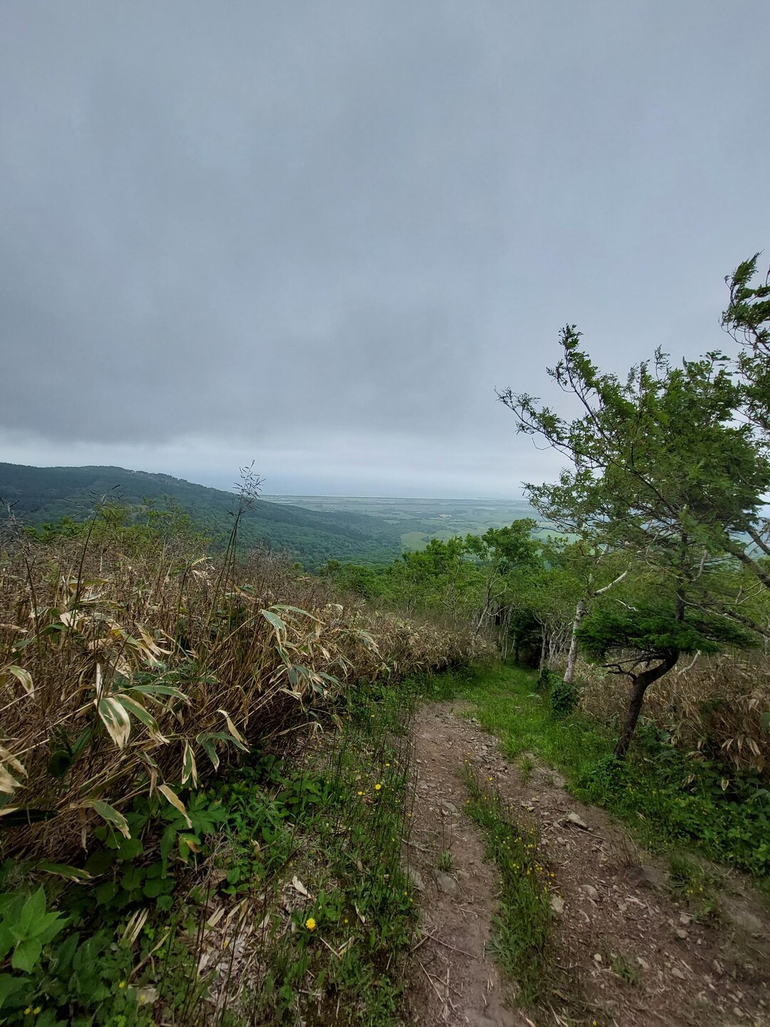 写万部山 / 382さんの写万部山の活動データ | YAMAP / ヤマップ