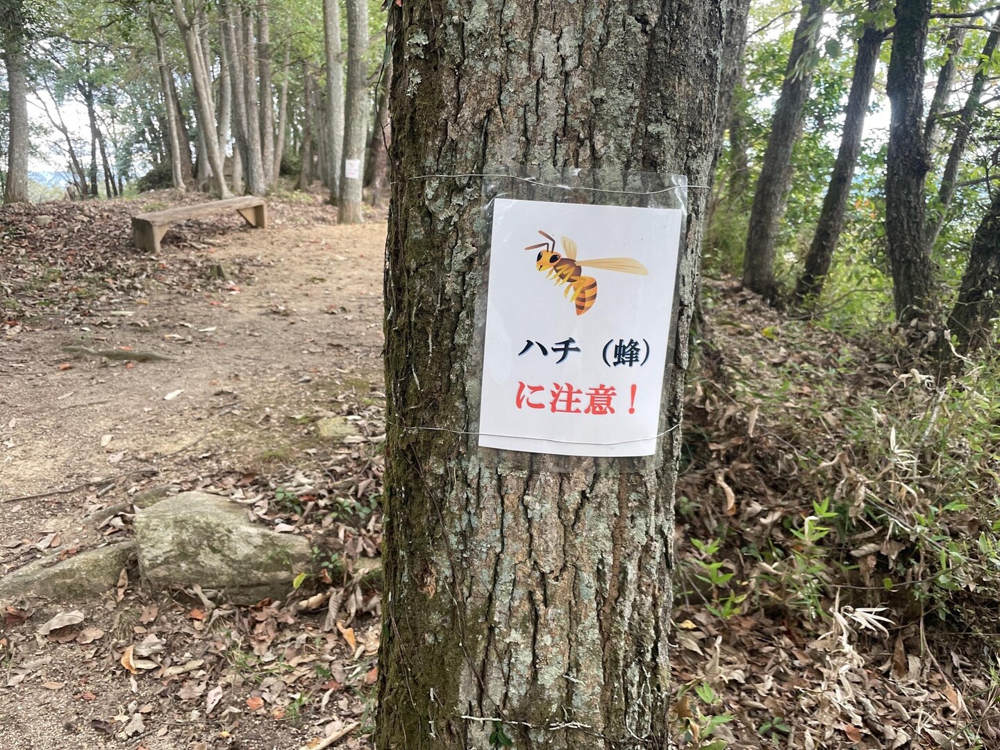 shiryoさんの投稿したフィールドメモ | YAMAP / ヤマップ