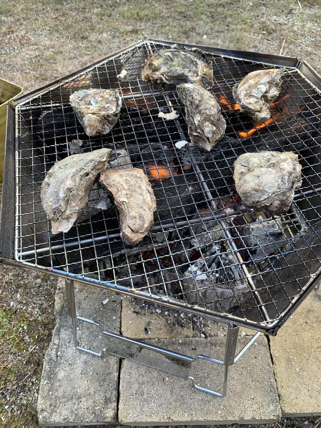 毎年年末恒例の餅つきからの庭での牡蠣🦪... / kinocoさんのモーメント | YAMAP / ヤマップ