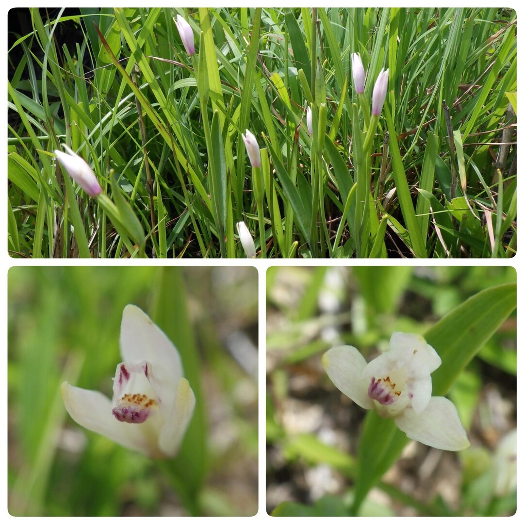 Tsubuyan さん の レポートを拝... / motomickyさんのモーメント | YAMAP / ヤマップ