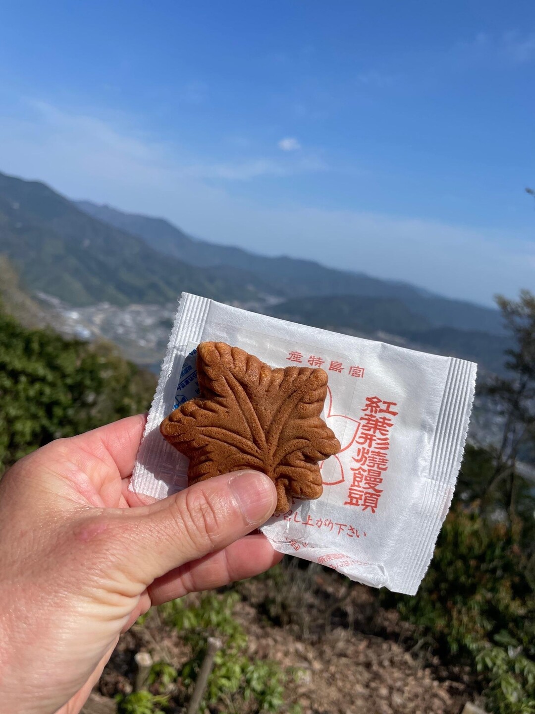 権現山・阿武山 / sho-_-jiさんの広島南アルプス（武田山・三滝山・鈴ヶ峰）の活動データ | YAMAP / ヤマップ