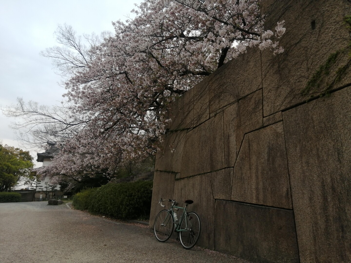 R5年度 初bianchi、大阪城公園往復 / kayokosさんのハイキングの活動データ | YAMAP / ヤマップ