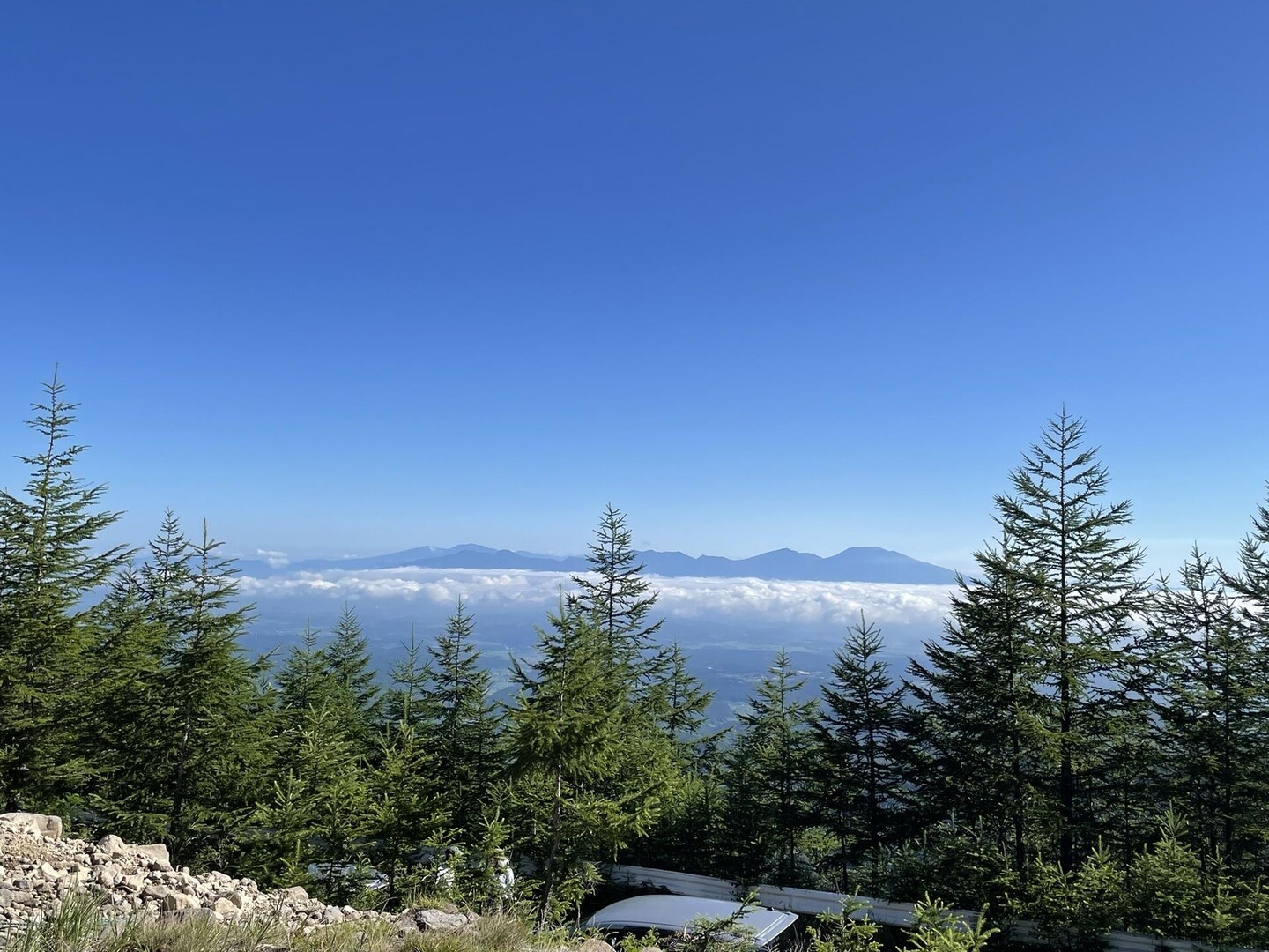 トレーニング（大河原峠→天祥寺原→将軍平）蓼科山-2024-08-11 / Vega-tanさんの蓼科山・横岳・縞枯山の活動データ | YAMAP / ヤマップ