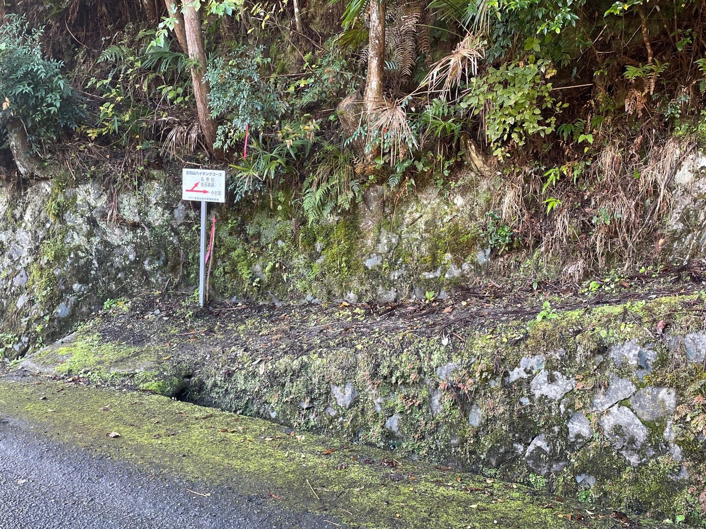 黒沢山 / G.satoshiさんの生石ヶ峰・生石高原の活動データ | YAMAP / ヤマップ