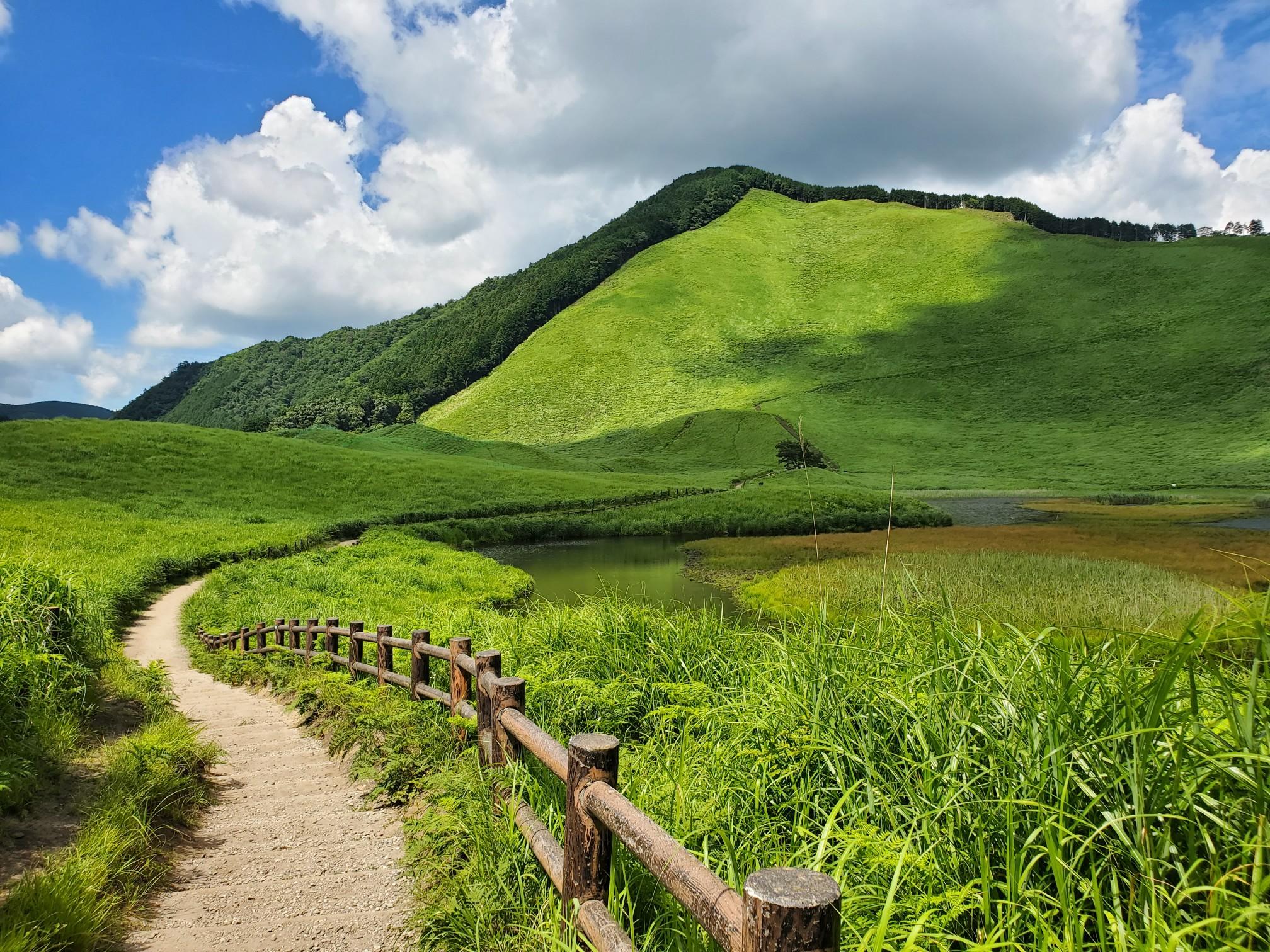 曽爾高原ついにきた! / yunbaさんの倶留尊山・曽爾高原・古光山の活動日記 | YAMAP / ヤマップ
