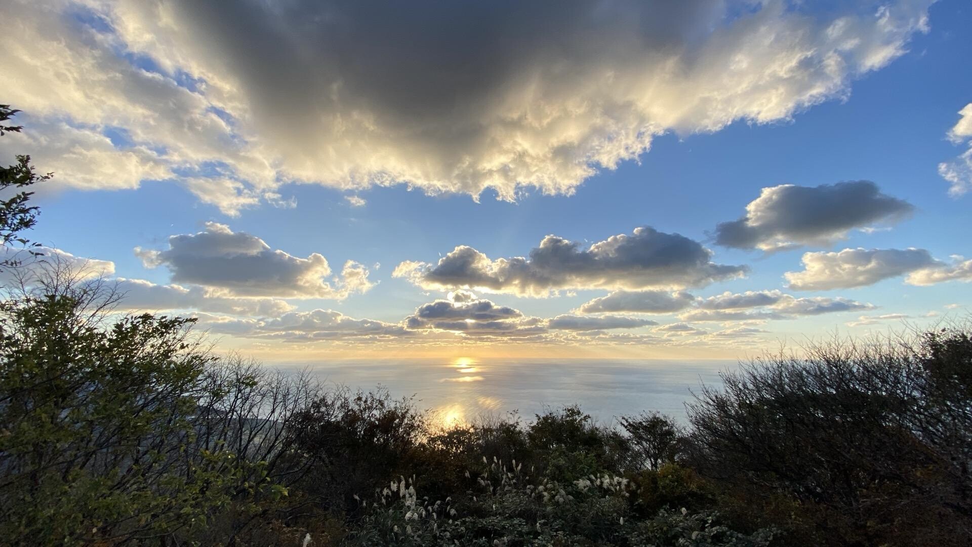 弥彦山 / korn4317さんの弥彦山・多宝山・雨乞山の活動データ | YAMAP / ヤマップ