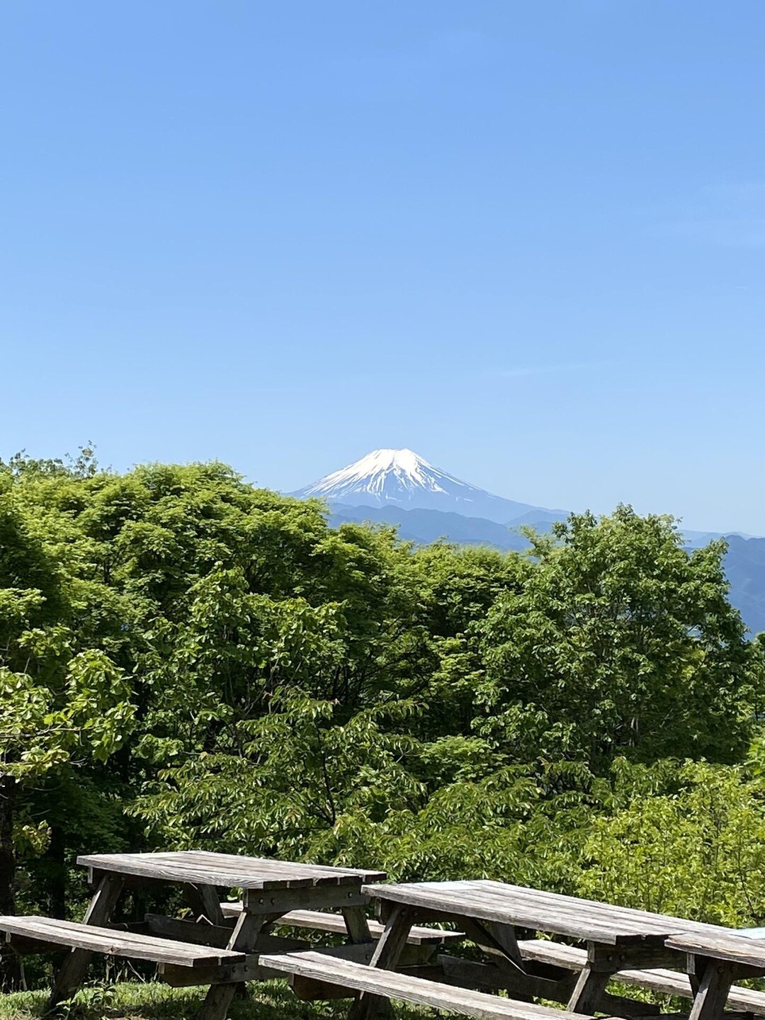 陣馬山・イタドリ沢ノ頭・大沢の頭 / manmaruさんの高尾山・陣馬山・景信山の活動データ | YAMAP / ヤマップ