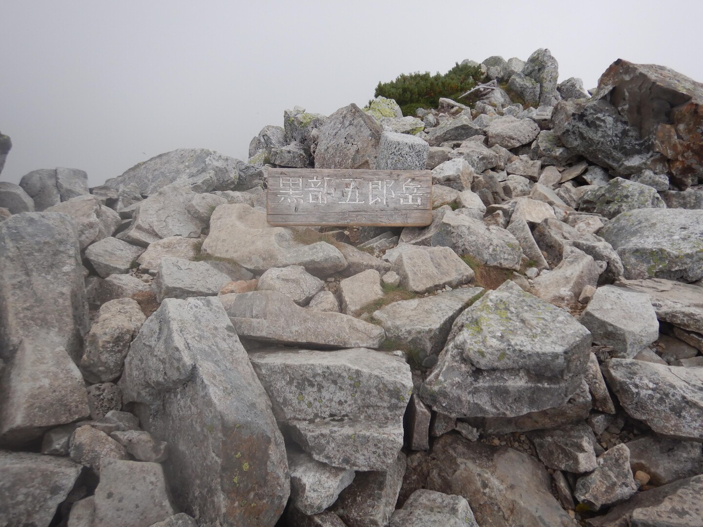 太郎平小屋-北ノ俣岳-赤木岳-黒部五郎岳-黒部五郎小舎 / S.nekoさんの水晶岳・薬師岳・黒部五郎岳・鷲羽岳・三俣蓮華岳・湯俣の活動データ | YAMAP / ヤマップ