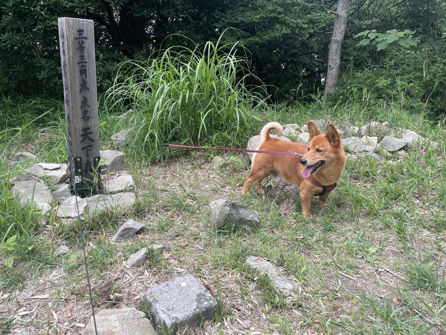 雲山峰・地蔵山 / monさんの熊野古道 紀伊路①（山中渓駅～湯浅駅）の活動データ | YAMAP / ヤマップ