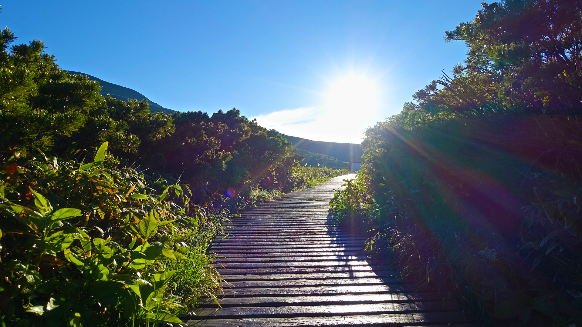2021年 反省会 今年も新型コロナ感... / cyanさんのモーメント | YAMAP / ヤマップ
